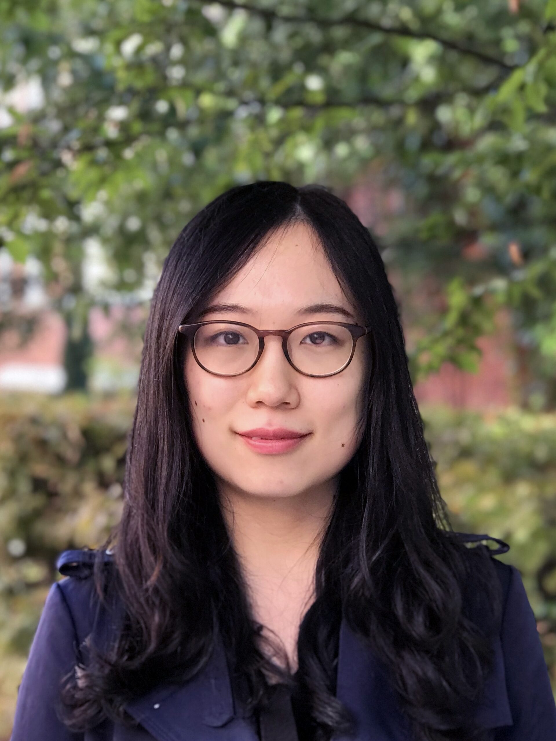 AI-Driven Modeling and Stability Assessment of Converter-Dominated ...